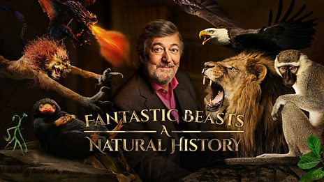 BBC iPlayer - History - Featured