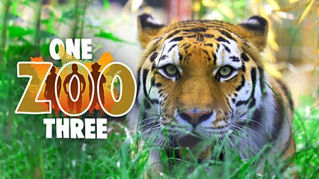 BBC iPlayer - CBeebies - Featured