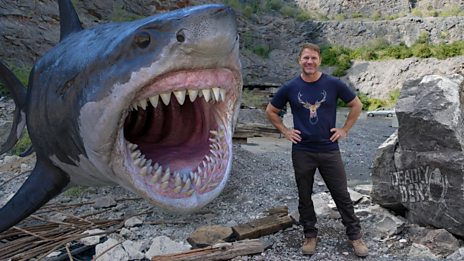 Deadly Predators - Series 1: 1. Shark - BBC iPlayer