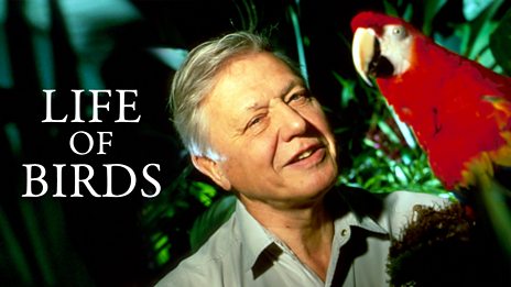 Science & Nature - Featured - BBC iPlayer