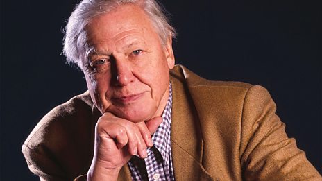 The Life of Mammals - 1. A Winning Design - BBC iPlayer