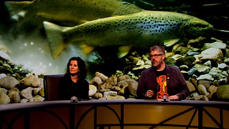 BBC iPlayer - QI - Series N: 14. Numbers