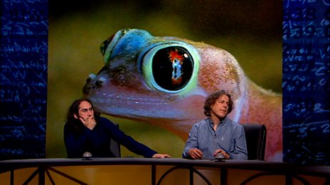 BBC iPlayer - QI - Series N: 14. Numbers