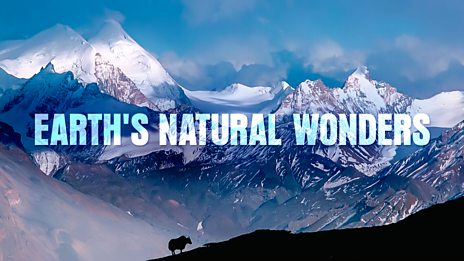 BBC iPlayer - Science & Nature - Featured