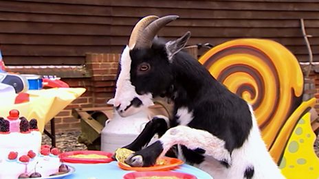 CBeebies ALBA - BBC iPlayer