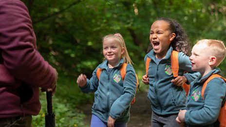 Ranger Hamzas Eco Quest - Series 1: 15. Grasses - BBC iPlayer