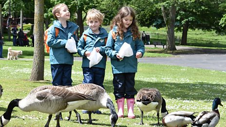 Ranger Hamzas Eco Quest - Series 1: 19. Ducks - BBC iPlayer