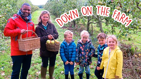 CBeebies - Featured - BBC iPlayer