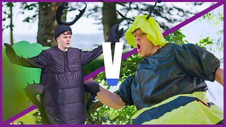 Bros in Control - Series 1: 12. Going Wild Challenge - BBC iPlayer