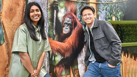 The Dengineers - Series 7: 6. Orangutan Den - BBC iPlayer