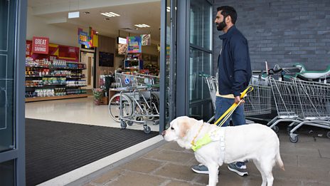 BBC iPlayer - Dog Squad - Series 1: 8. Mission: Birthday Cake