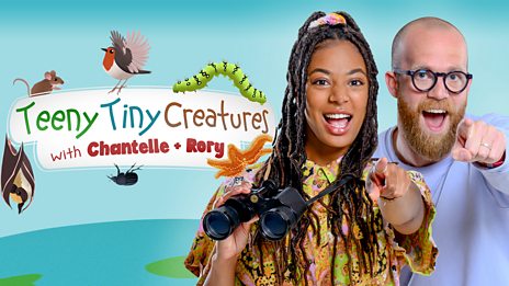 BBC iPlayer - CBeebies - Featured