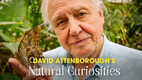 BBC iPlayer - Science & Nature - Featured