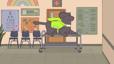 Dog Squad - Series 1: 6. Mission: Bandage Team - BBC iPlayer