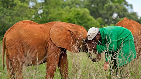 Our Changing Planet - Series 2: Episode 2 - BBC iPlayer