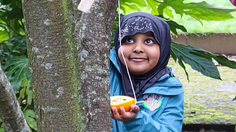 Ranger Hamzas Eco Quest - Minis: 2. Bird Feeder - BBC iPlayer