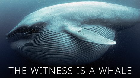 Science & Nature - Featured - BBC iPlayer