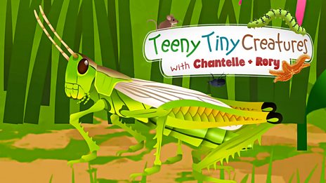 BBC iPlayer - CBeebies - Featured