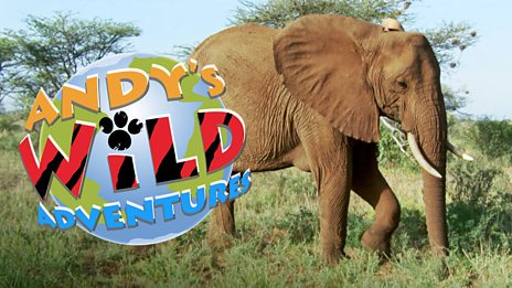 CBeebies - Featured - BBC iPlayer