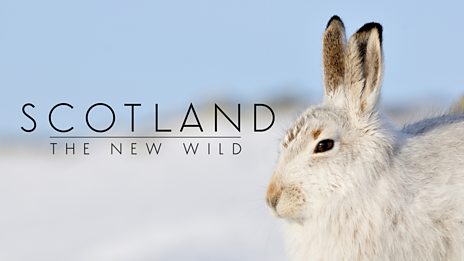 BBC iPlayer - Scotland - Featured