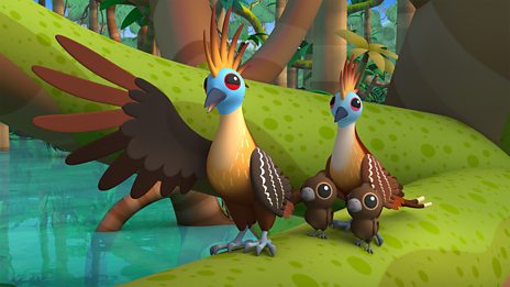 Octonauts: Above & Beyond - Series 3: 4. Flooded Forest - BBC iPlayer