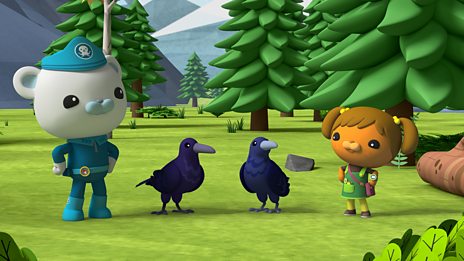 Octonauts: Above & Beyond - Series 3: 9. Rival Ravens - BBC iPlayer