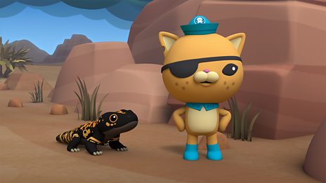Octonauts: Above & Beyond - Series 3: 16. Gila Monster - BBC iPlayer