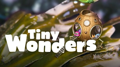 BBC iPlayer - CBeebies