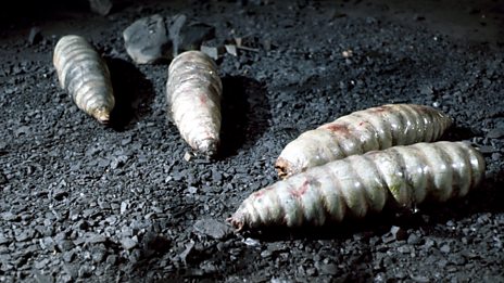 Doctor Who (1963–1996) - Season 10: The Green Death: Episode 3 - BBC ...