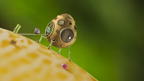 Tiny Wonders - Series 2: 9. Melon Skin - BBC iPlayer