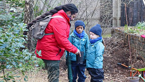 Ranger Hamzas Eco Quest - Minis: 14. Plant a Tree - BBC iPlayer