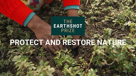 The Earthshot Prize - 2023 Nominees: 2. Protect and Restore Nature ...