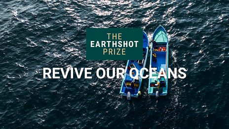 The Earthshot Prize - 2023 Nominees: 4. Revive our Oceans - BBC iPlayer