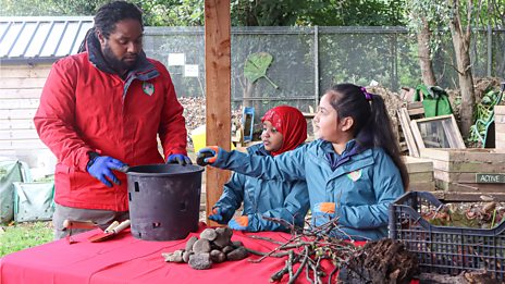 Ranger Hamzas Eco Quest - Minis: 24. Hedgehog House - BBC iPlayer