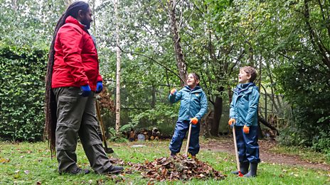 Ranger Hamzas Eco Quest - Minis: 25. Get to Know Your Local Trees - BBC ...