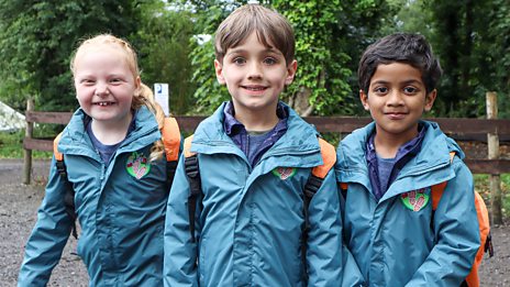 Ranger Hamzas Eco Quest - Series 2: 1. Woodlice - BBC iPlayer