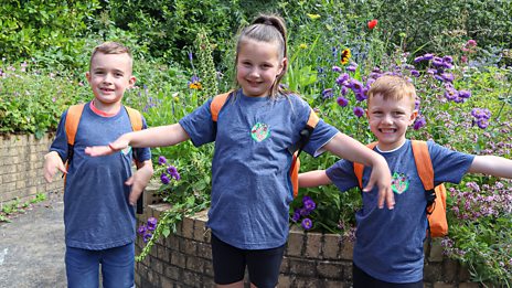 Ranger Hamzas Eco Quest - Series 2: 3. Lavender - BBC iPlayer