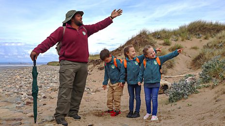 Ranger Hamzas Eco Quest - Series 2: 5. Sand Dunes - BBC iPlayer