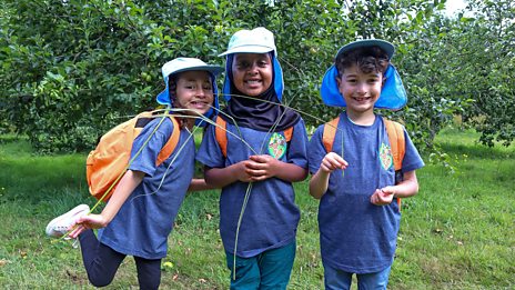 Ranger Hamzas Eco Quest - Series 2: 14. Reeds and Rushes - BBC iPlayer