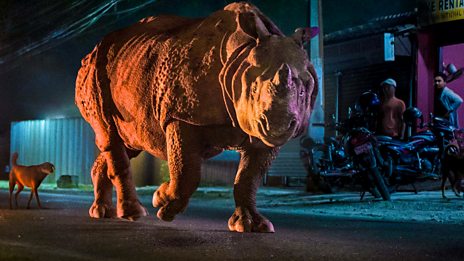 Planet Earth III - Series 1: 7. Human - BBC iPlayer