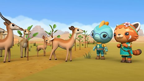 Octonauts: Above & Beyond - Series 4: 15. Gobi Desert - BBC iPlayer