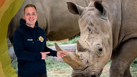 One Zoo Three - Series 4: 3. Saving Species - BBC iPlayer