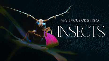 Science & Nature - Featured - BBC iPlayer