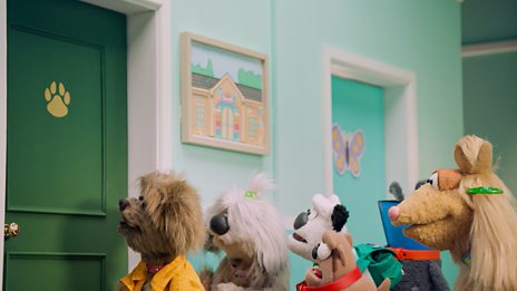 Dodge's Pup School - Series 1: 8. Mystery Door - BBC iPlayer