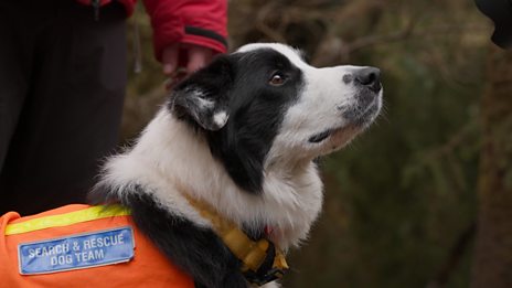 Dog Squad - Series 3: 3. Mission: Stormy Mountain - BBC iPlayer