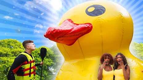 Bro's in Control - Series 3: 7. Quacky Quest - BBC iPlayer