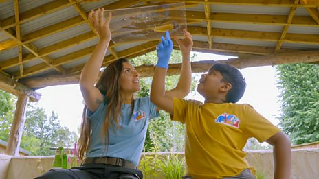 Go Wild - Series 2 - Aneeshwar and Lizzie: 6. Galapagos Tortoise and Giant African Snail - BBC ...