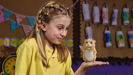 Watch S4C live - BBC iPlayer