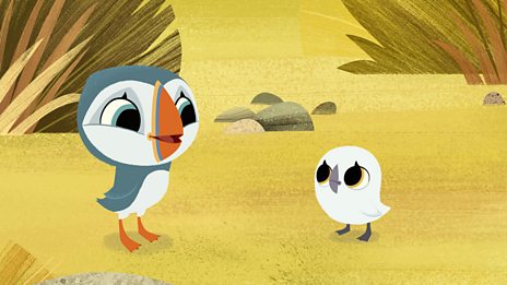 Puffin Rock - Series 1: 1. Puffin Practice - BBC iPlayer