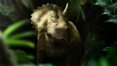 Walking With Dinosaurs - Series 1: 1. The Orphan - BBC iPlayer
